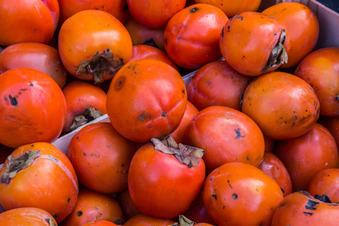 Como saber se o caqui está bom para consumir - Notícias Concursos