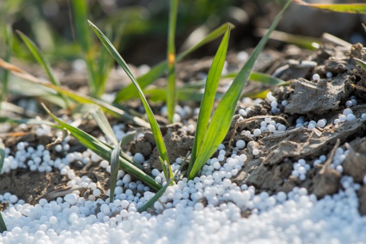 Como fazer adubo caseiro para utilizar na horta? - Notícias Concursos