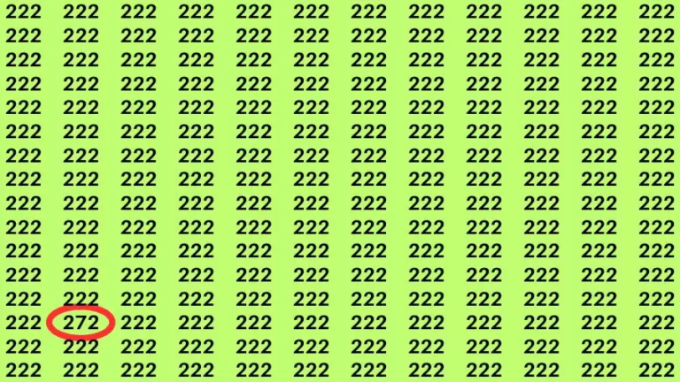 Você consegue encontrar o número 272 na imagem? Veja resposta e outros ...