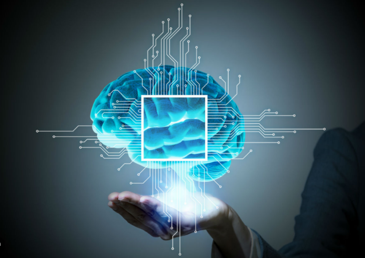 Descubra os 6 elementos que conectam as pessoas inteligentes